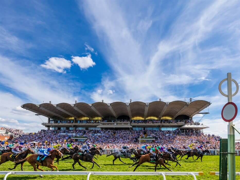 Tips for Glorious Goodwood Racing Success - Premium Racing TipsPremium ...